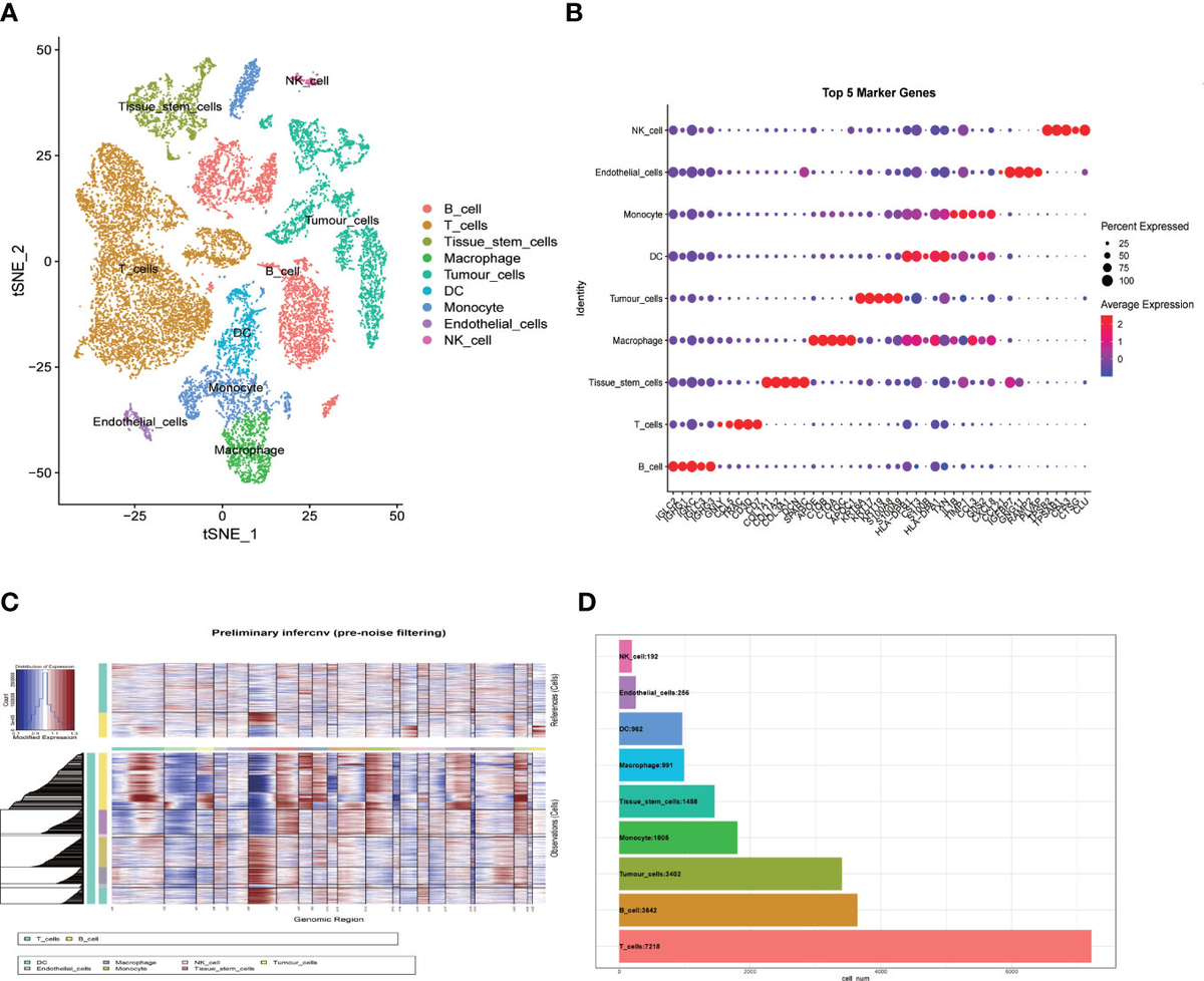 Frontiers | Identification and validation of a novel signature based on ...