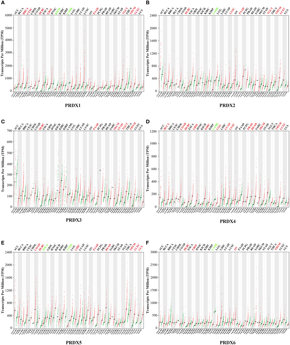 Frontiers | Expression and prognostic value of PRDX family in colon ...