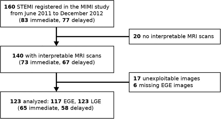 Frontiers | Pixel-wise statistical analysis of myocardial injury in ...