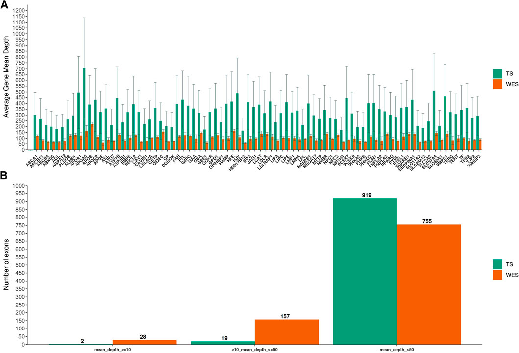 Frontiers | Validation of a targeted gene panel sequencing for the ...