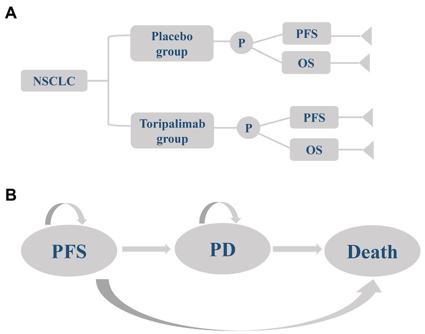 Frontiers | Economic evaluation of toripalimab combined with ...