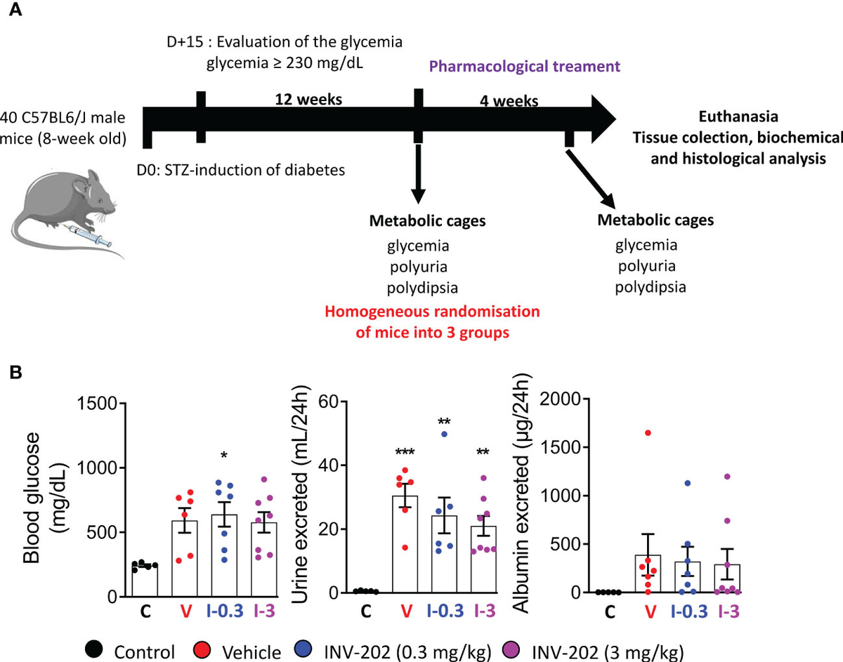 Frontiers | Therapeutic potential of a novel peripherally restricted ...