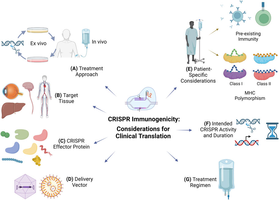 Frontiers | Immunogenicity of CRISPR therapeutics—Critical ...
