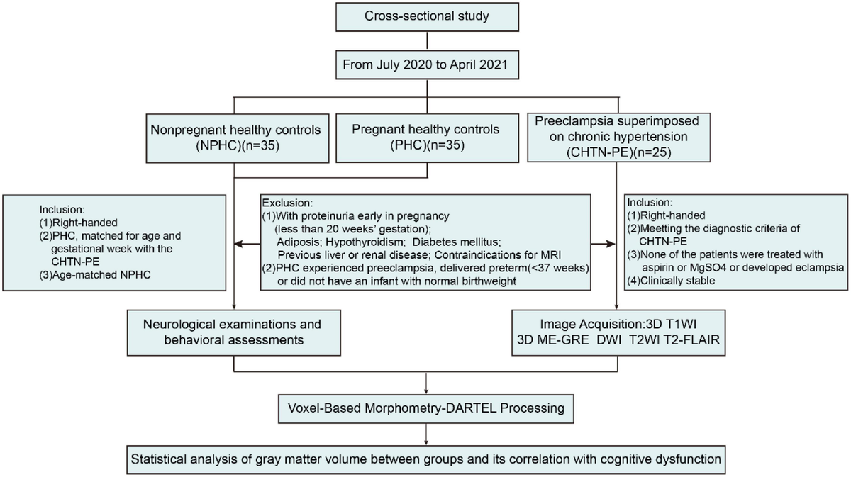 Frontiers | Decreased gray matter volume in the right middle temporal gyrus associated with ...
