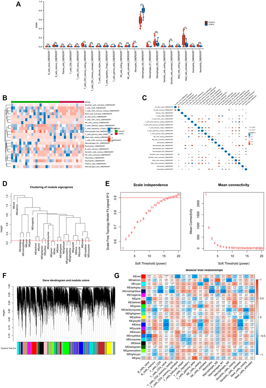 Frontiers | Integrating RNA-seq and scRNA-seq to explore the mechanism ...