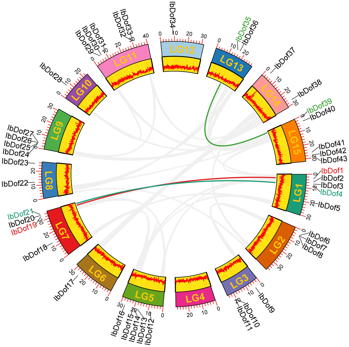 Frontiers | Genome-wide survey and expression analysis of Dof ...