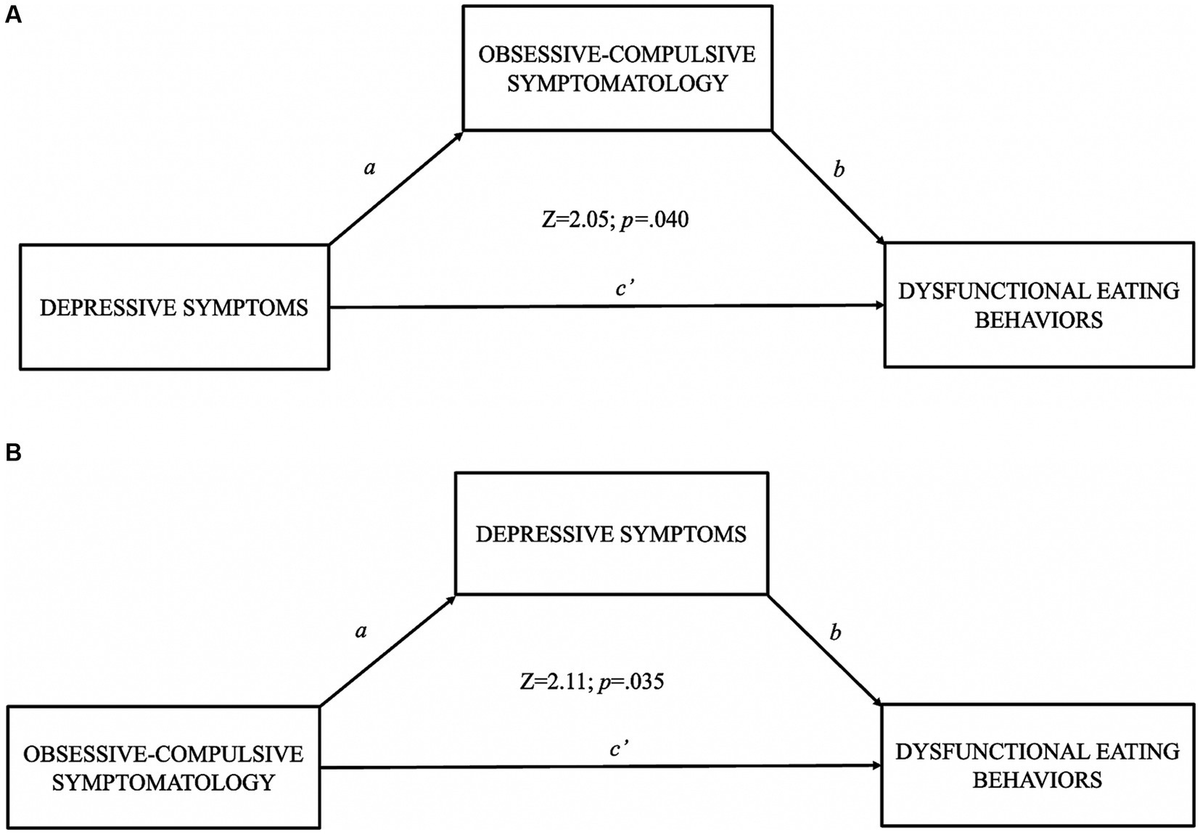 Frontiers | Psychopathological factors and personality dimensions on ...