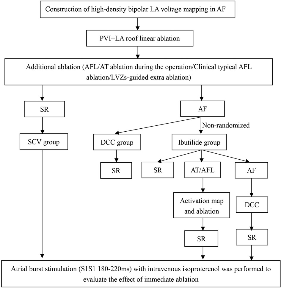 Frontiers | Comparison of clinical outcomes of Ibutilide-guided ...
