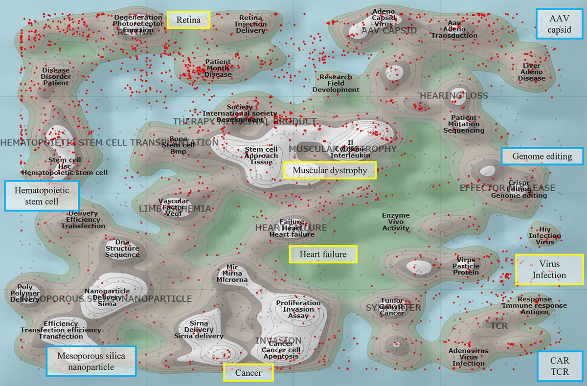 Frontiers | In vivo CAR T cells and targeted gene delivery: A theme for ...