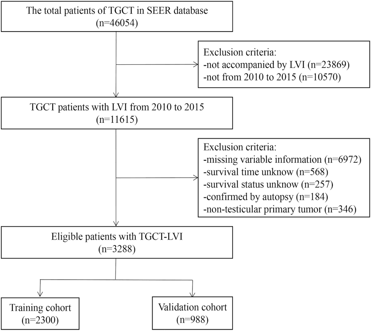Frontiers | Clinical features and prognostic factors in patients ...
