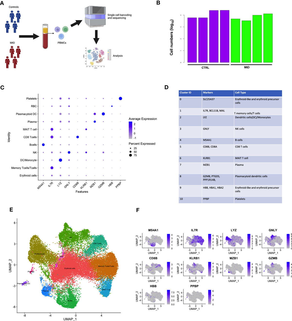 Frontiers Primary Oxidative Phosphorylation Defects Lead To Perturbations In The Human B Cell