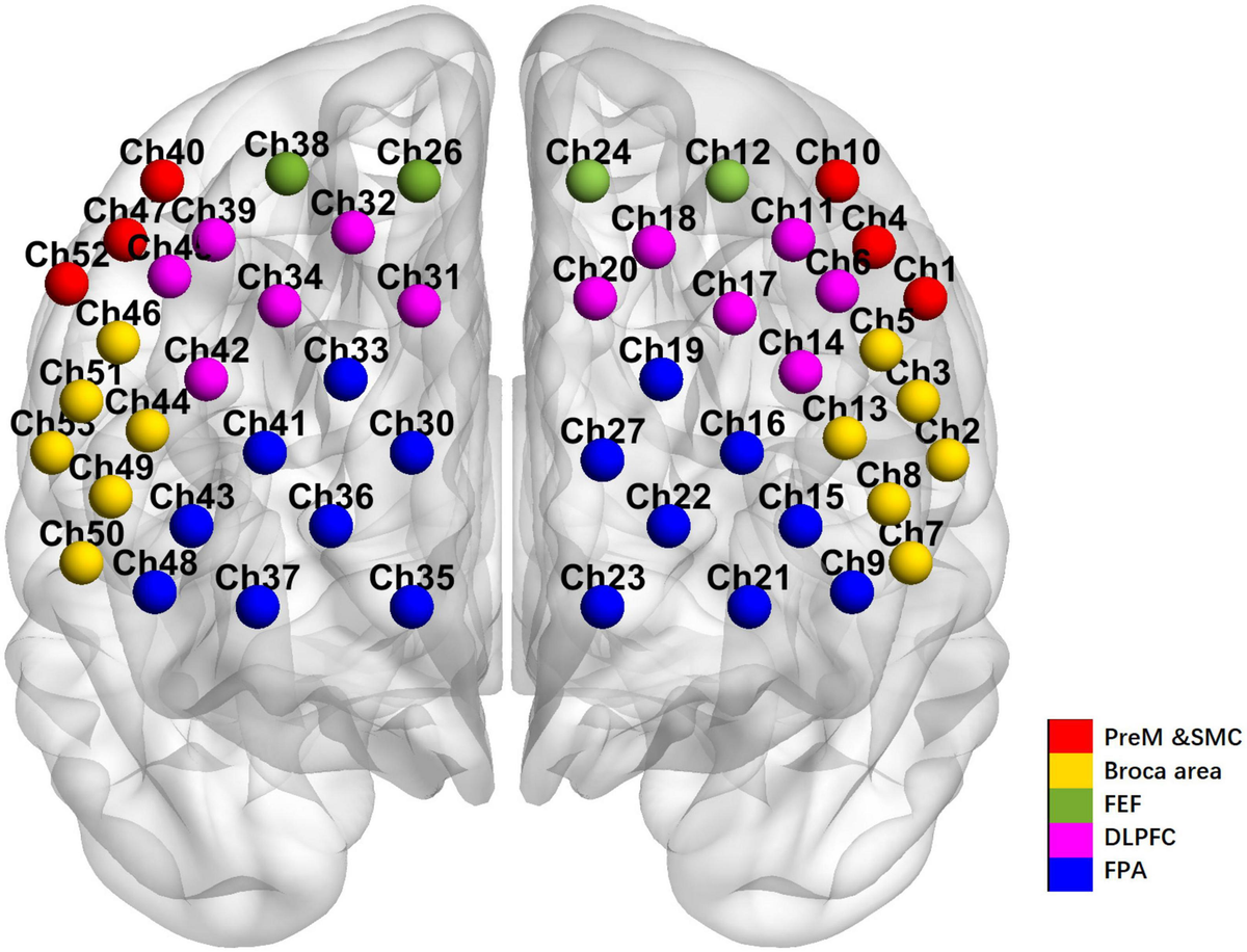 Frontiers | Pattern of prefrontal cortical activation and network revealed by task-based and ...