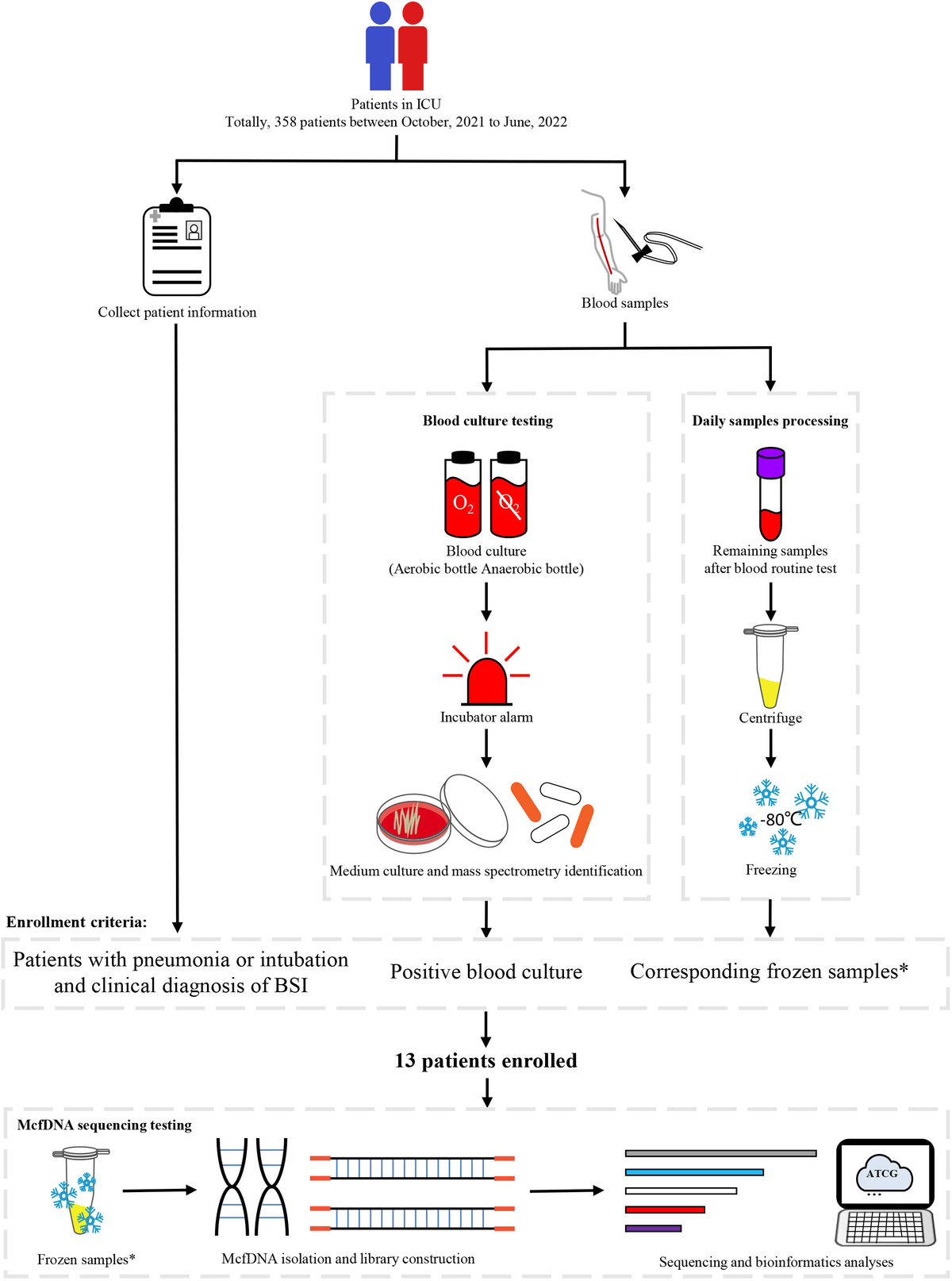 Frontiers | Time-series prediction and detection of potential pathogens ...