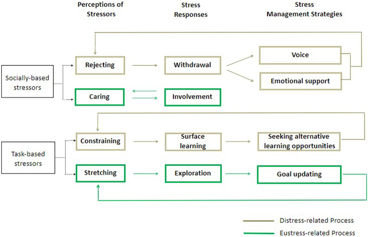 Frontiers | Distress and eustress: an analysis of the stress ...