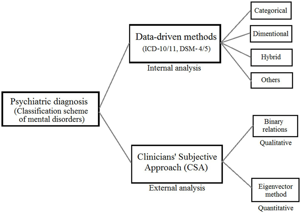 Frontiers | Classifying mental disorders through clinicians’ subjective ...