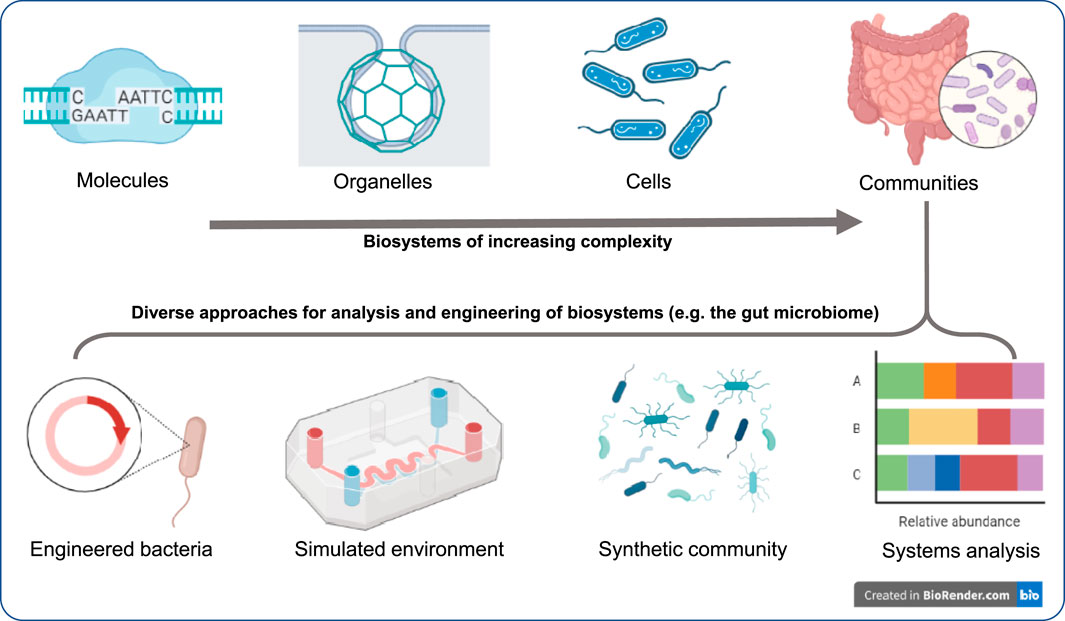 Frontiers | Editorial: Next-generation quantitative and synthetic biology: High-sensitivity ...