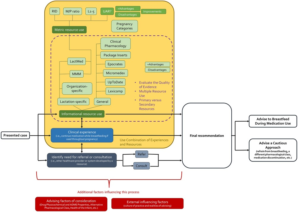 Frontiers | Addressing maternal medication use during breastfeeding using clinical resources and ...