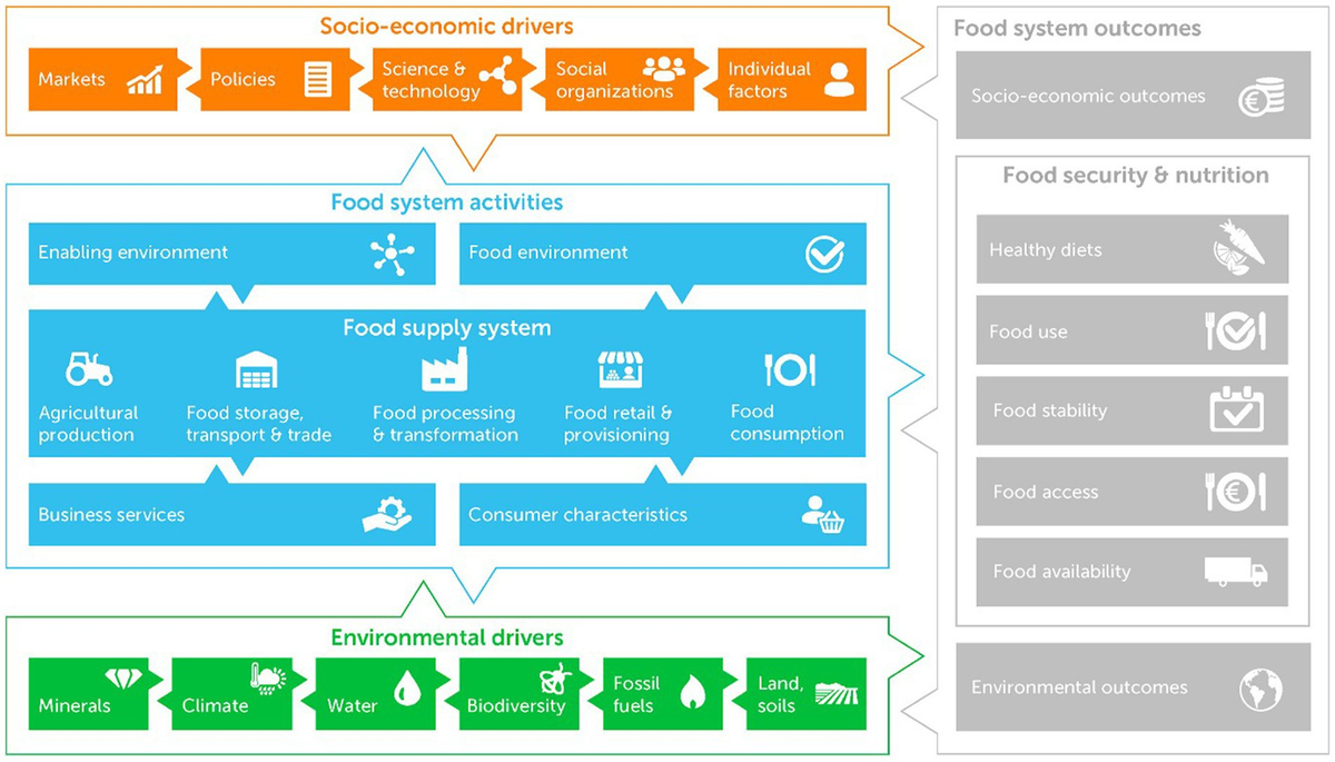 Frontiers | The transformative value chain: rethinking food system ...