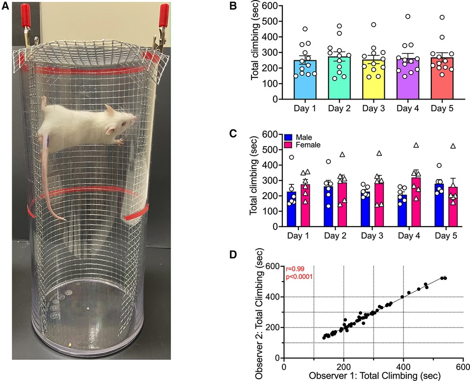 Frontiers | Climbing behavior by mice as an endpoint for preclinical ...