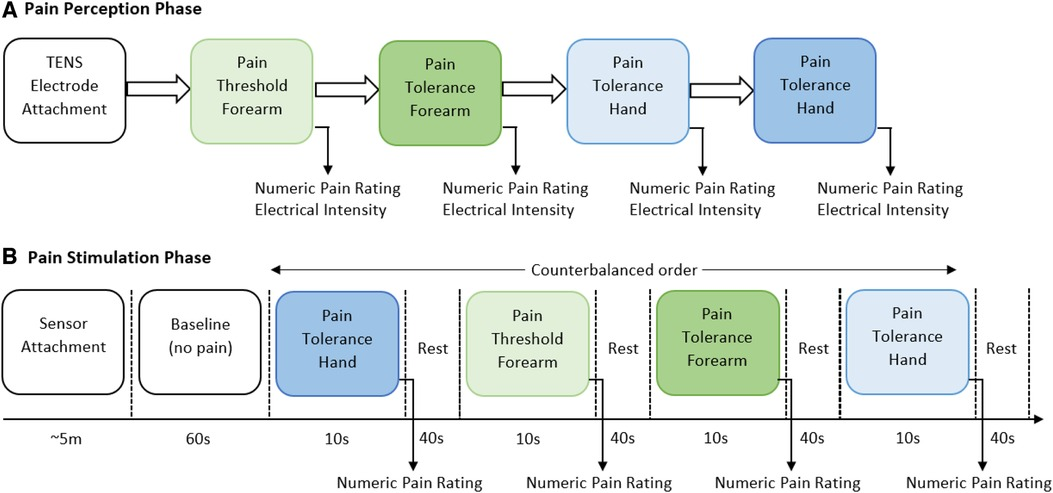 Frontiers | Multimodal physiological sensing for the assessment of ...