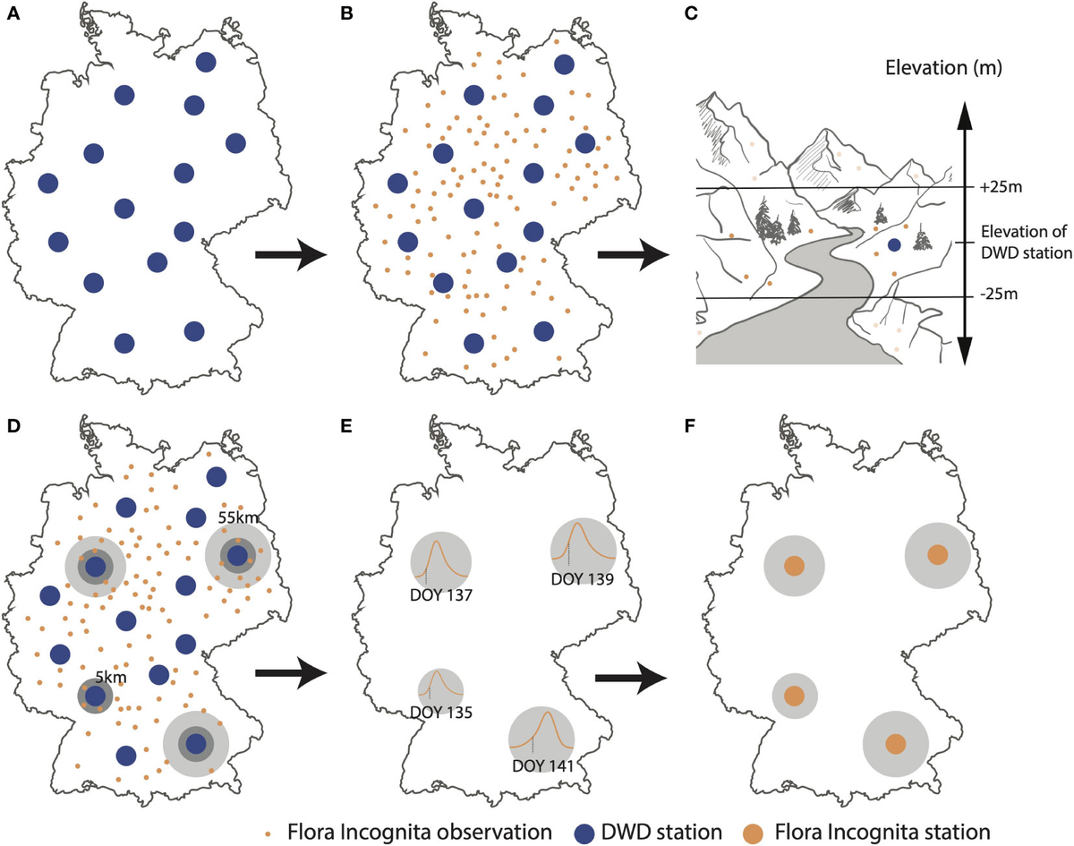 Frontiers | Bridging the gap: how to adopt opportunistic plant ...
