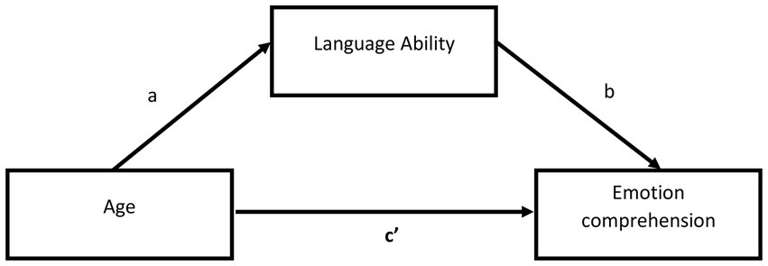 Frontiers | The link between emotion comprehension and cognitive ...