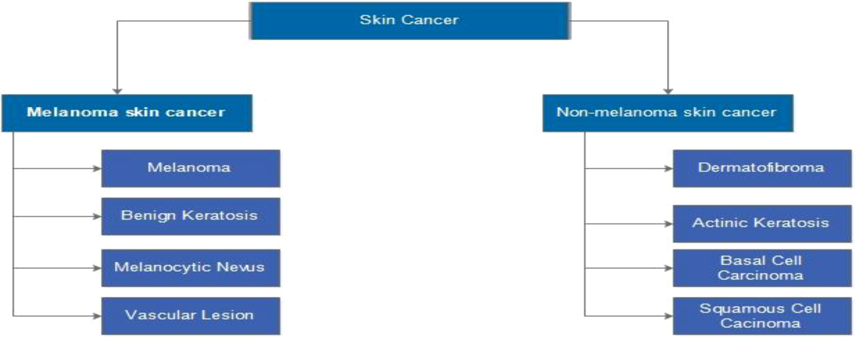Frontiers A Novel Framework Of Multiclass Skin Lesion Recognition