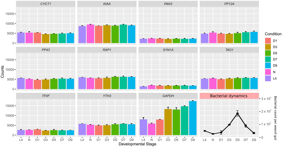 Frontiers | Transcriptomic-based selection of reference genes for ...