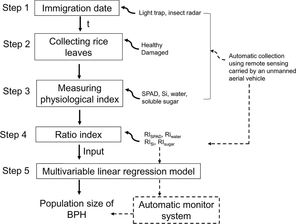 Frontiers | Estimating insect pest density using the physiological index of crop leaf