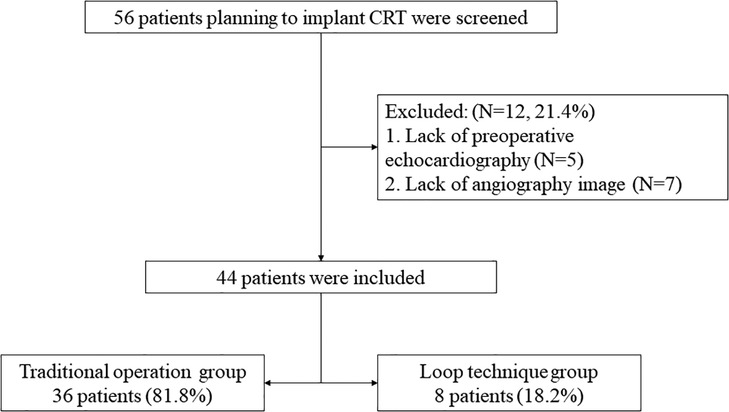 Frontiers | The long-term safety and effectiveness of the loop ...