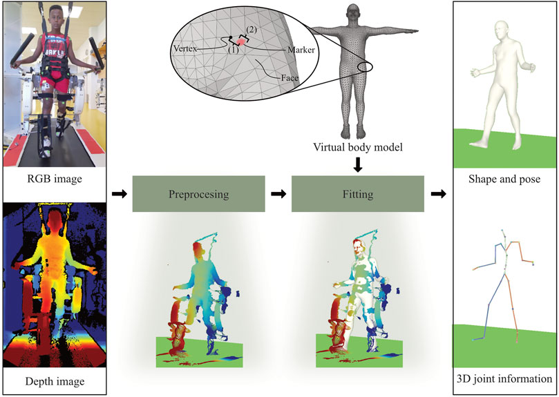 Frontiers | Markerless motion tracking to quantify behavioral changes ...