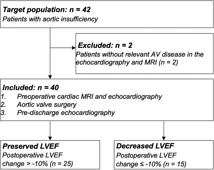 Frontiers | Cardiac T1 mapping enables risk prediction of LV ...