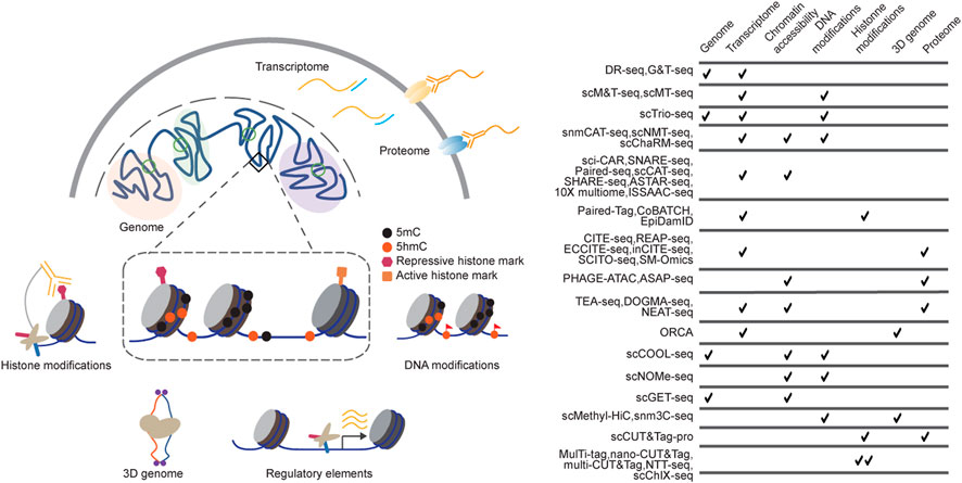 Frontiers | Single-cell technologies for multimodal omics measurements