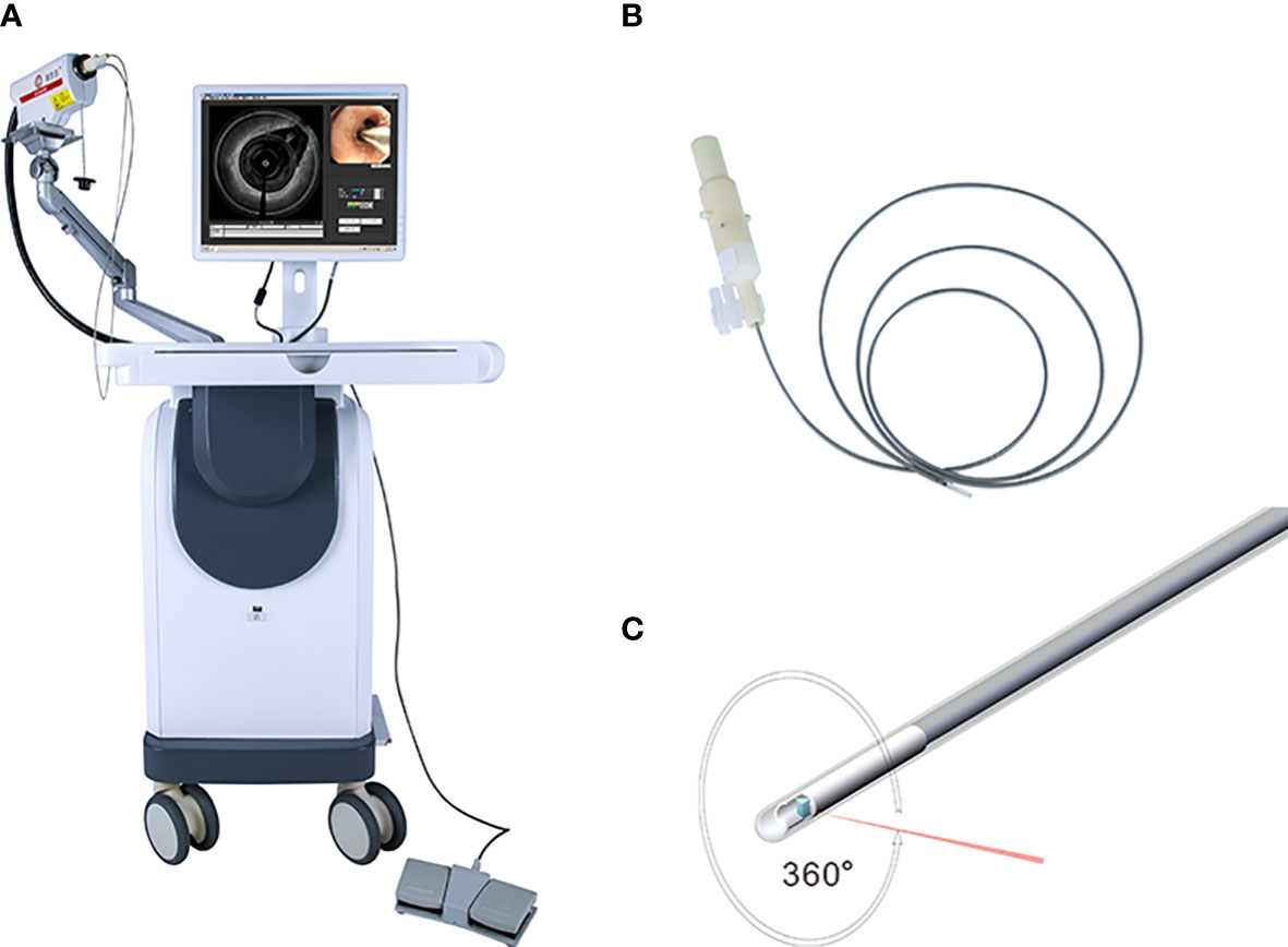 Frontiers | EB-OCT: a potential strategy on early diagnosis and ...