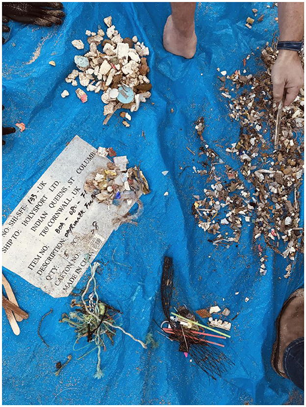 Frontiers | Environmental movements in a material world. A relational ...