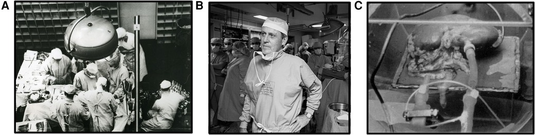 Frontiers | Current practice and novel approaches in organ preservation