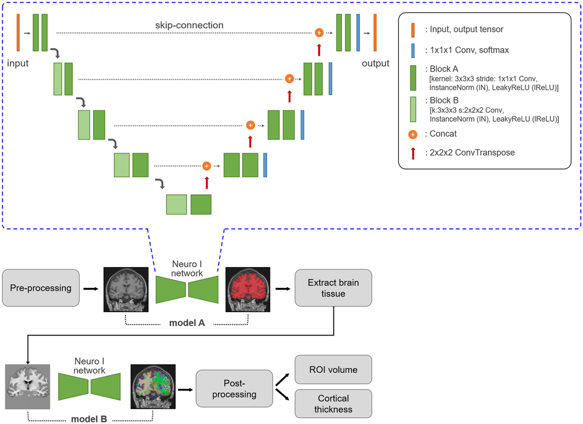 Frontiers | Development and validation of deep learning-based automatic brain segmentation for ...