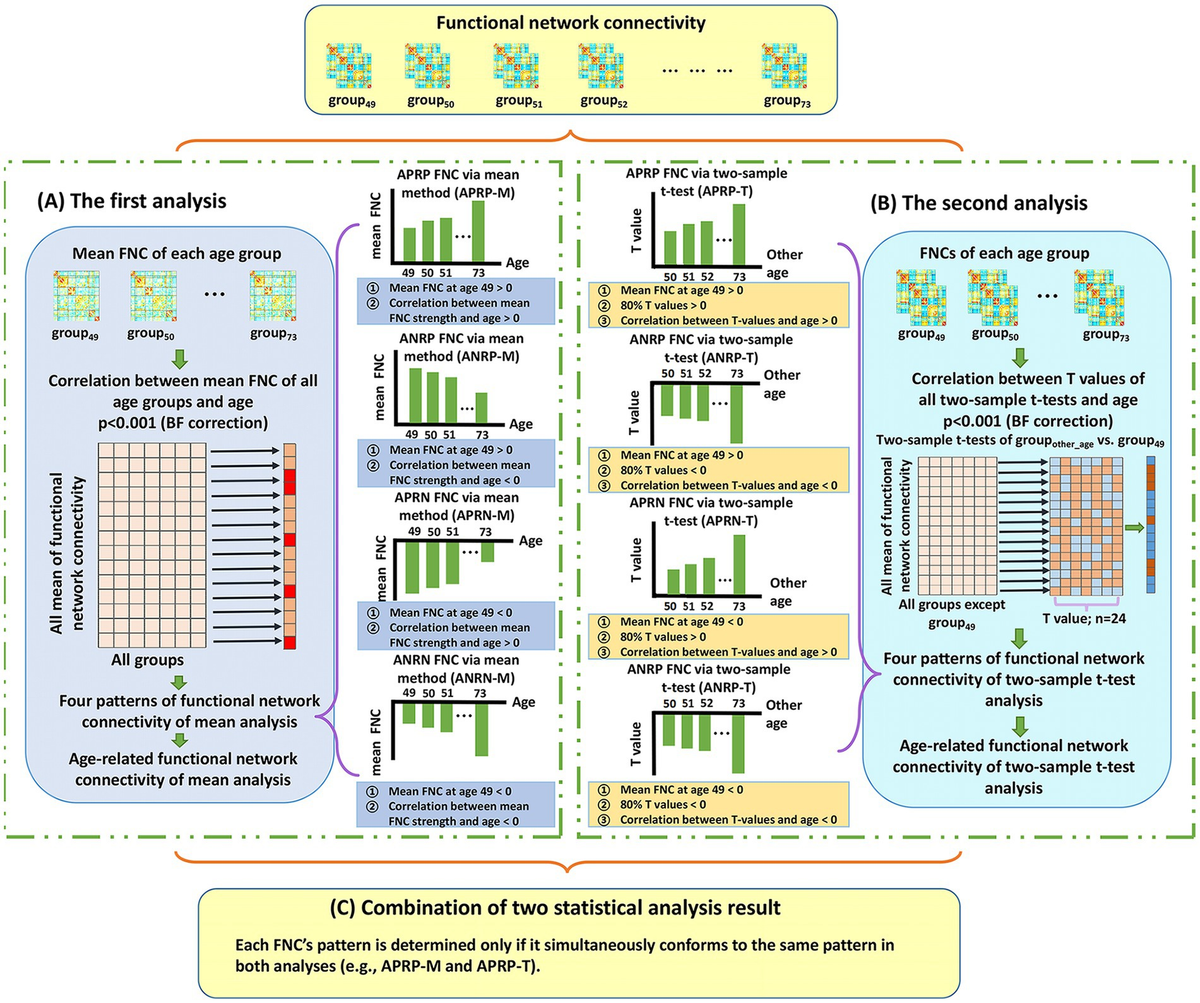Frontiers | Aging brain shows joint declines in brain within-network ...