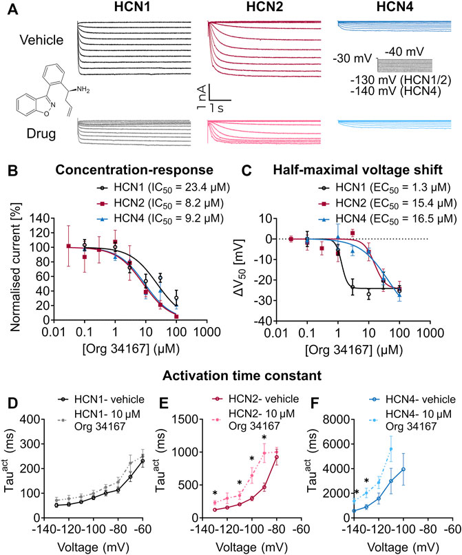 Frontiers | Antidepressant-like activity of a brain penetrant HCN ...