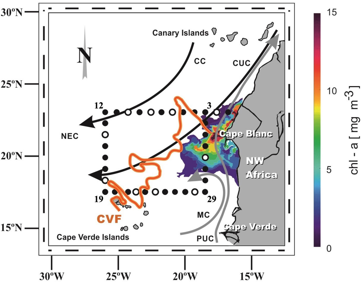 Frontiers | Solid phase extraction of ocean dissolved organic matter ...