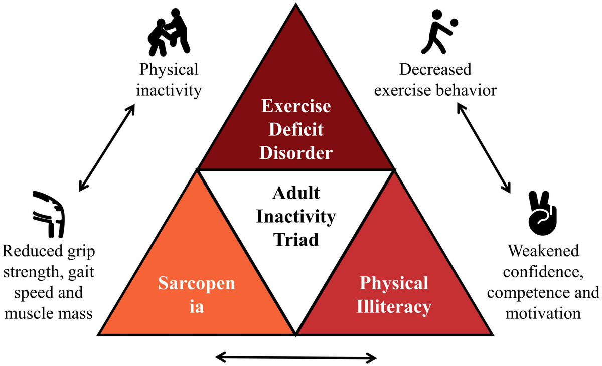 Frontiers | The “adult inactivity triad” in patients with chronic ...