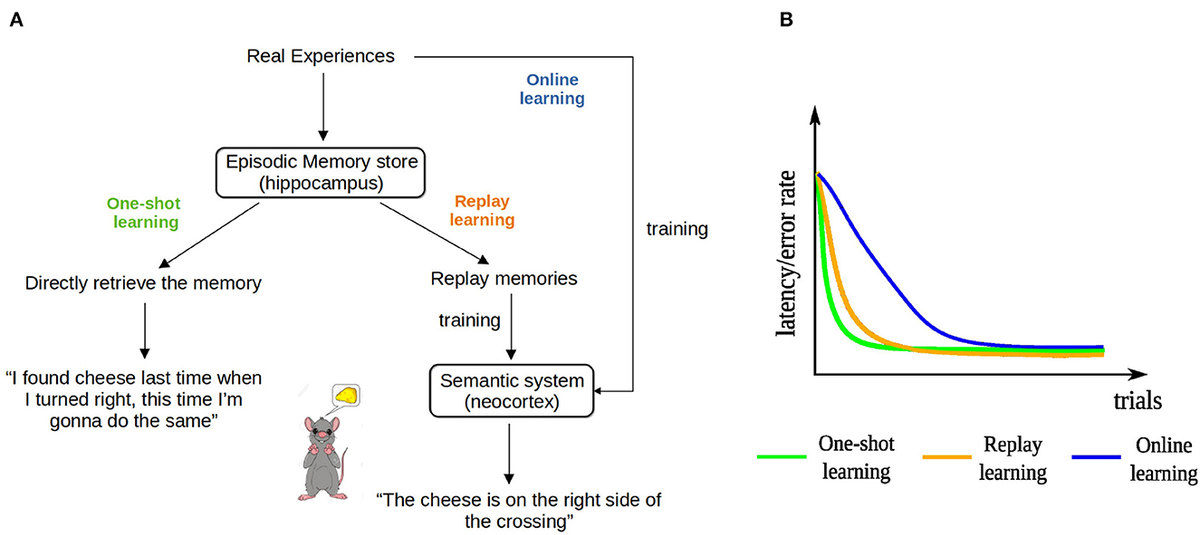 Frontiers | Modeling the function of episodic memory in spatial learning