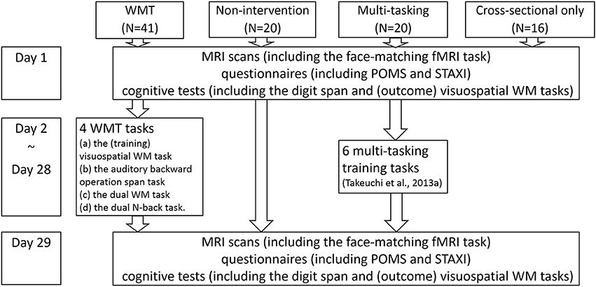 Frontiers | Working memory training improves emotional states of ...