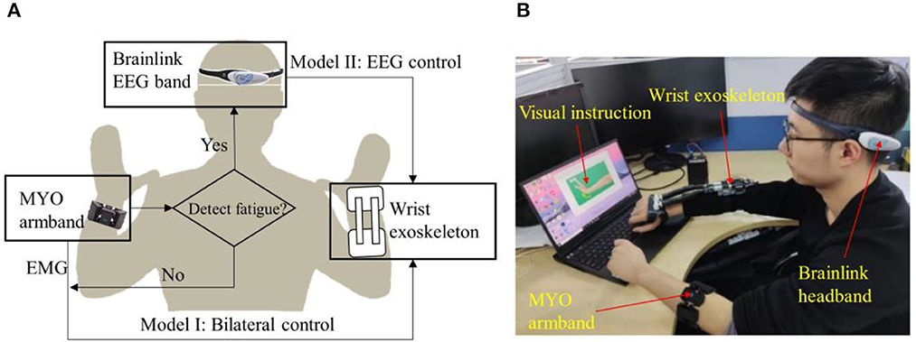 Frontiers | A low-cost and portable wrist exoskeleton using EEG-sEMG ...