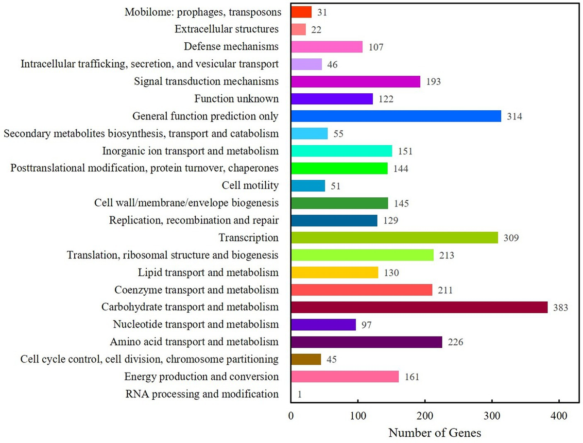 Frontiers | Physiological and transcriptional studies reveal Cr(VI ...