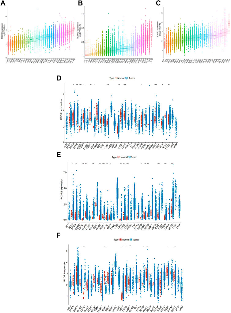 Frontiers | Comprehensive analysis of REST corepressors (RCORs) in pan ...