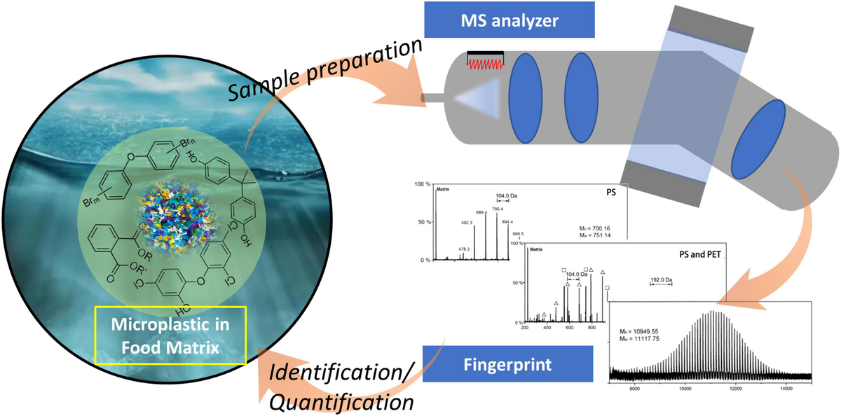 Frontiers | Mass spectrometry-based multimodal approaches for the ...