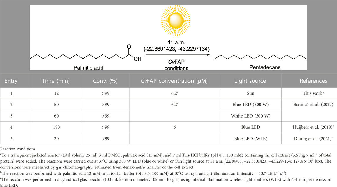 Frontiers | Impact of sunlight irradiation on CvFAP photodecarboxylation