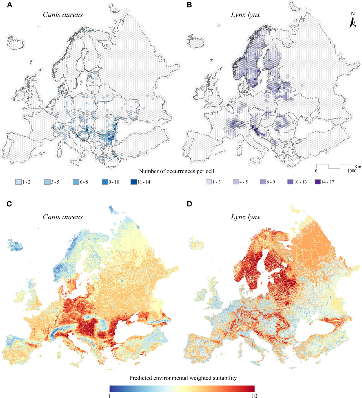 Frontiers | A shifting carnivore’s community: habitat modeling suggests ...