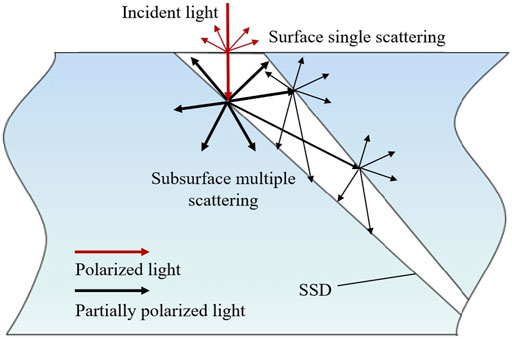 Frontiers | Polarized laser scattering detection of subsurface damage ...